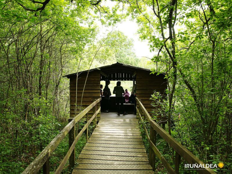 Asociarme - Iruñaldea